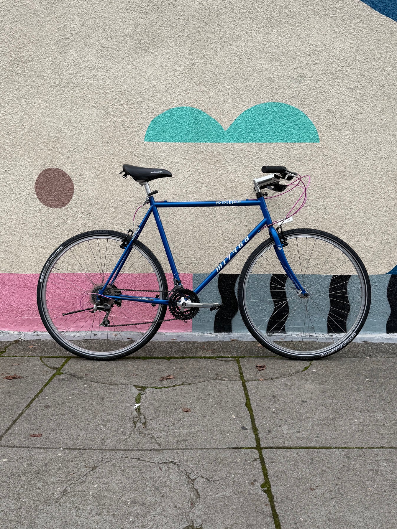 Miyata TripleCross touring bike 55cm frame 700c wheels – TomCat Bikes